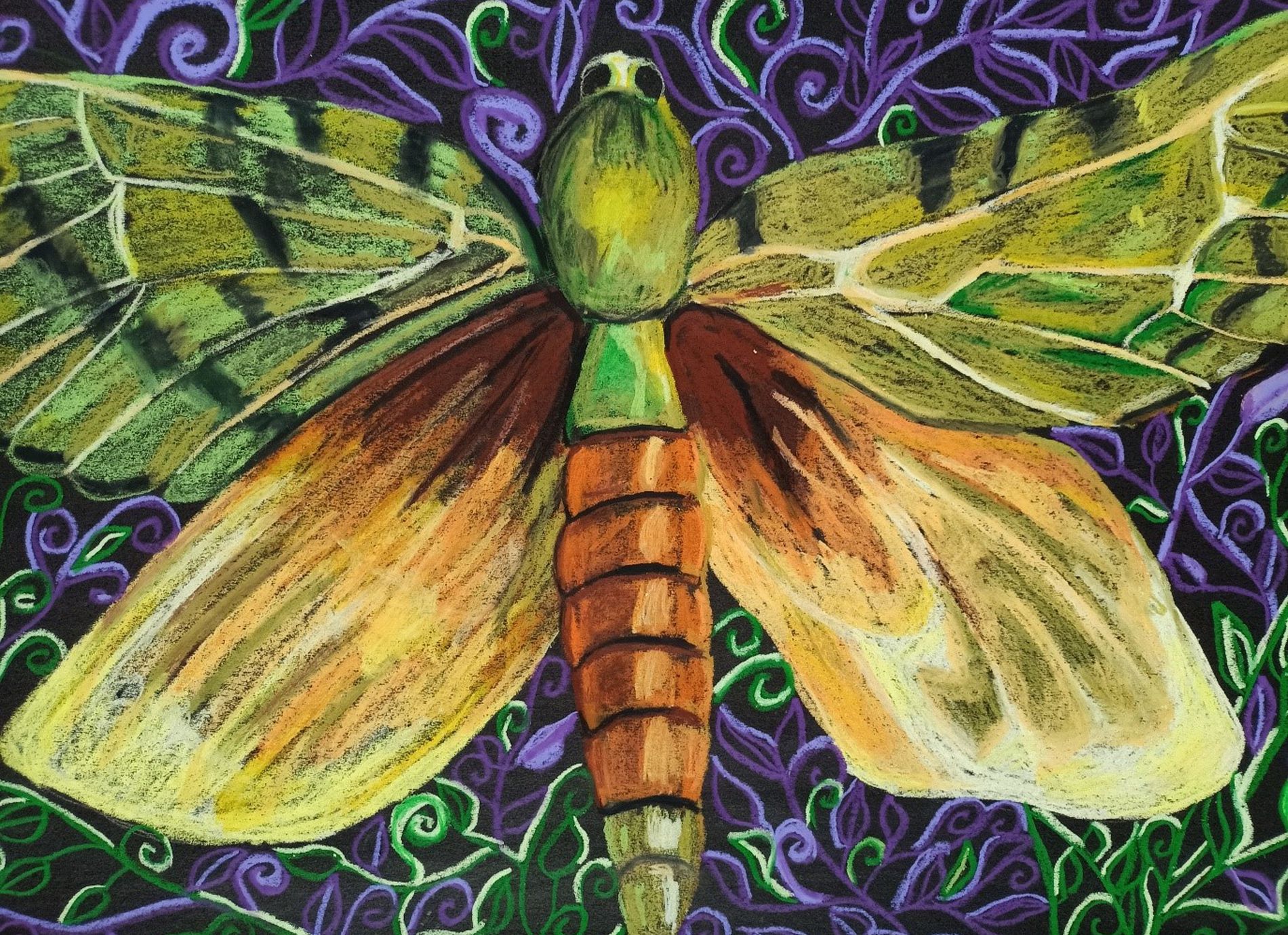 Night Critters | Corban Estate Arts Centre