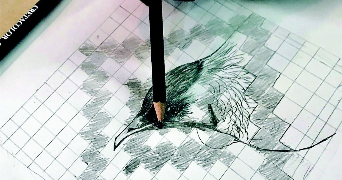 Manu Magic 2.0 | Corban Estate Arts Centre