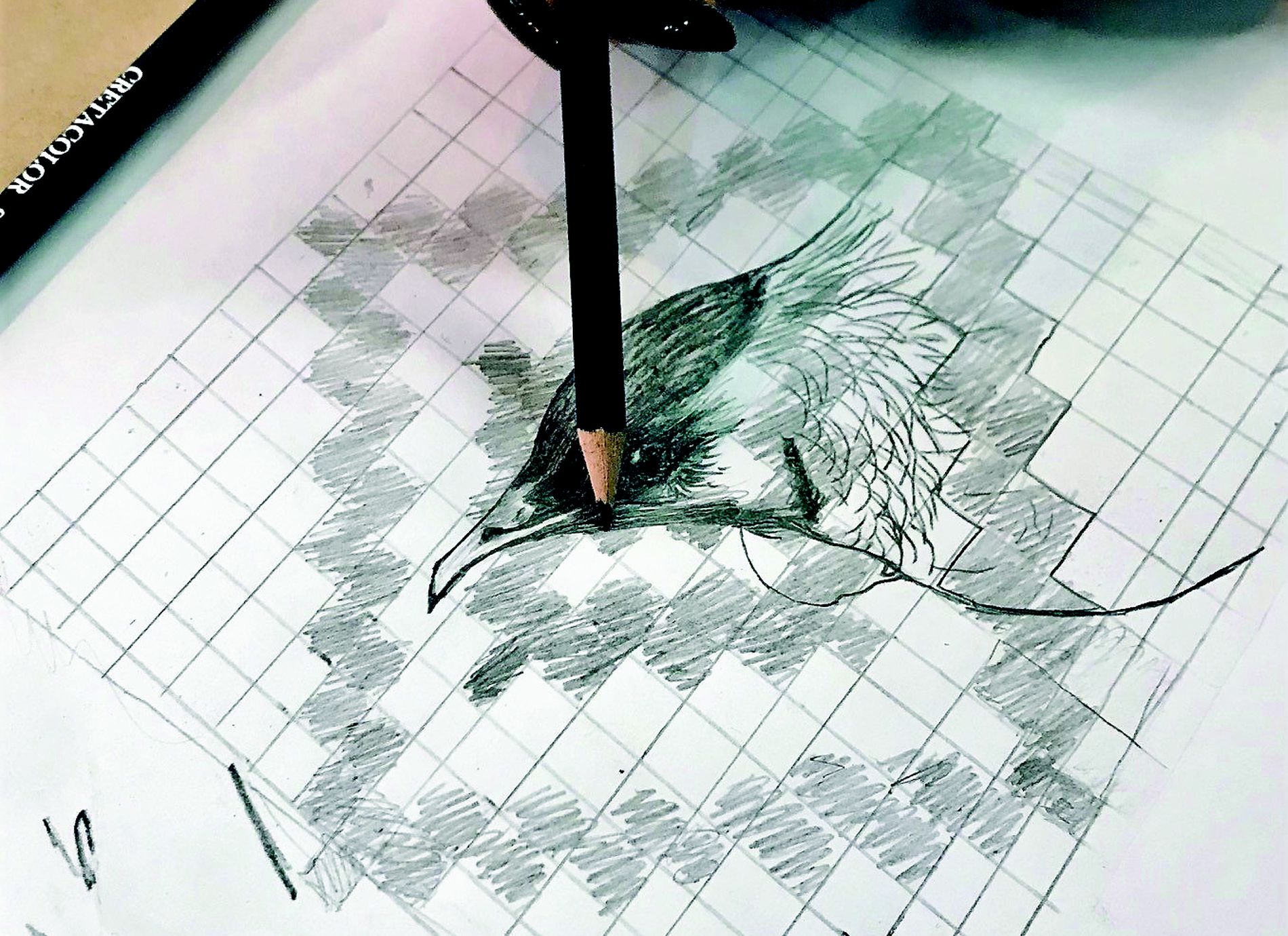 Manu Magic 2.0 | Corban Estate Arts Centre