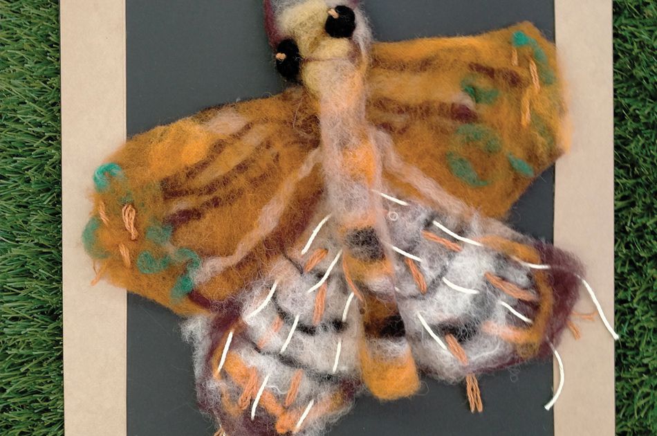 An Eclipse of Felted Moths | Corban Estate Arts Centre