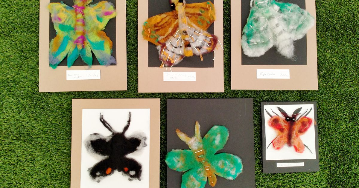 An Eclipse of Felted Moths | Corban Estate Arts Centre