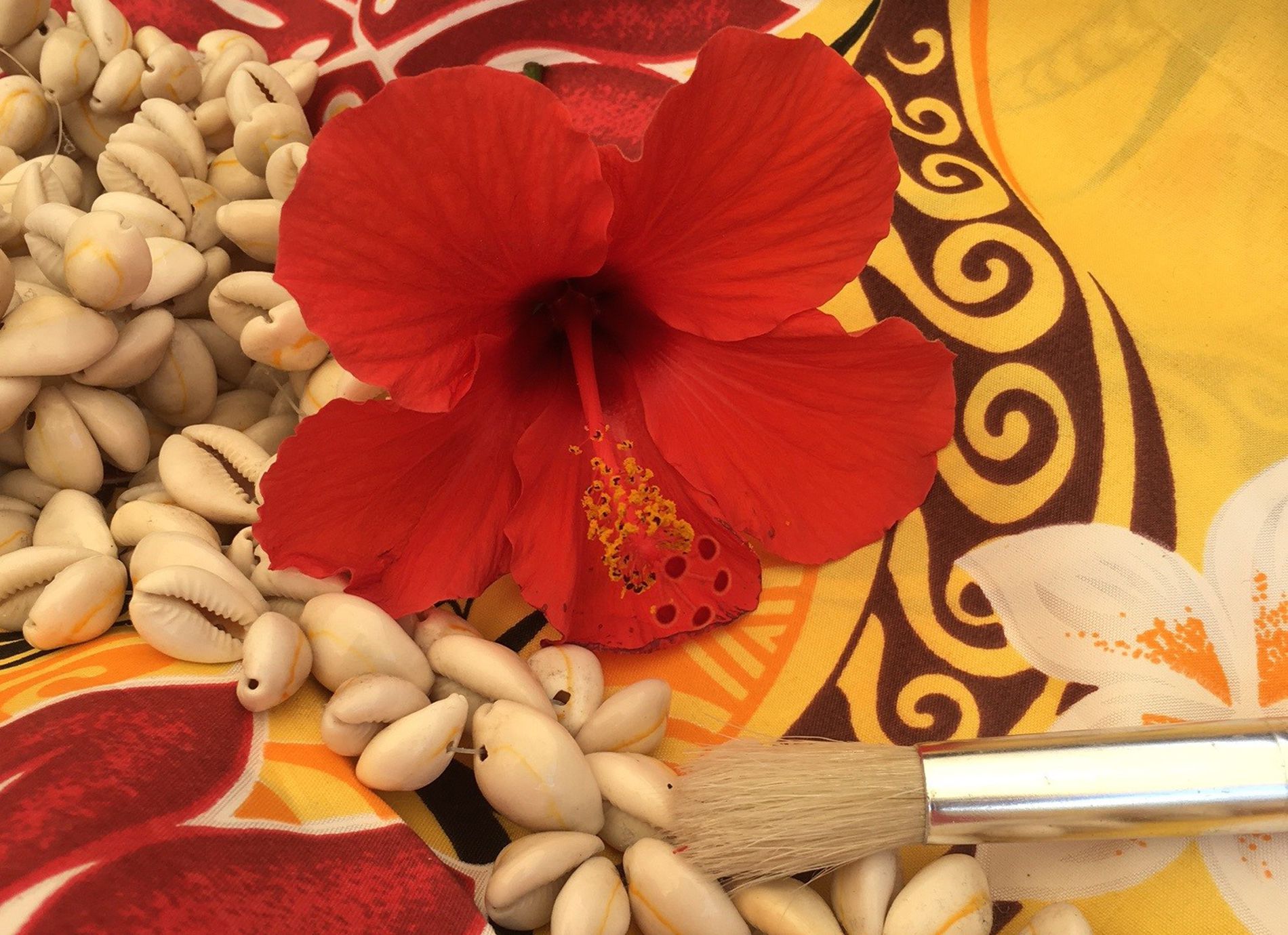 Tropical Still Life | Corban Estate Arts Centre