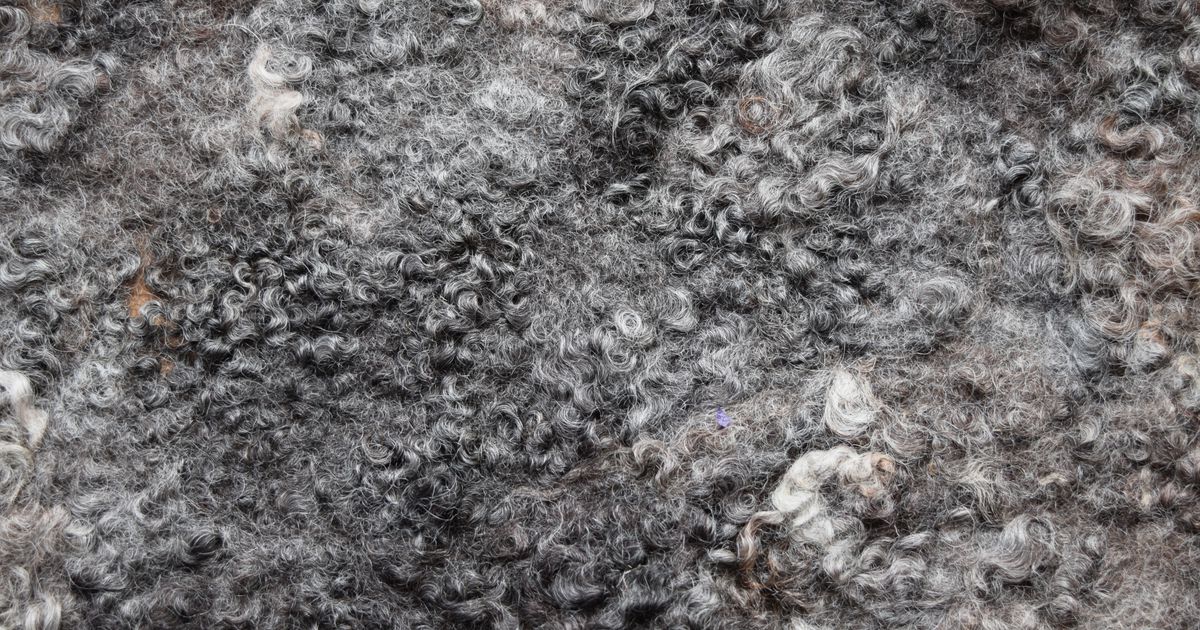 This Raw Material | Corban Estate Arts Centre