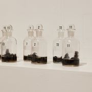 This Raw Material | Corban Estate Arts Centre