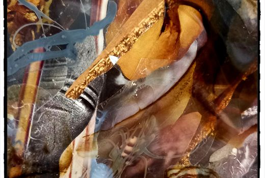 Public Workshops | Corban Estate Arts Centre