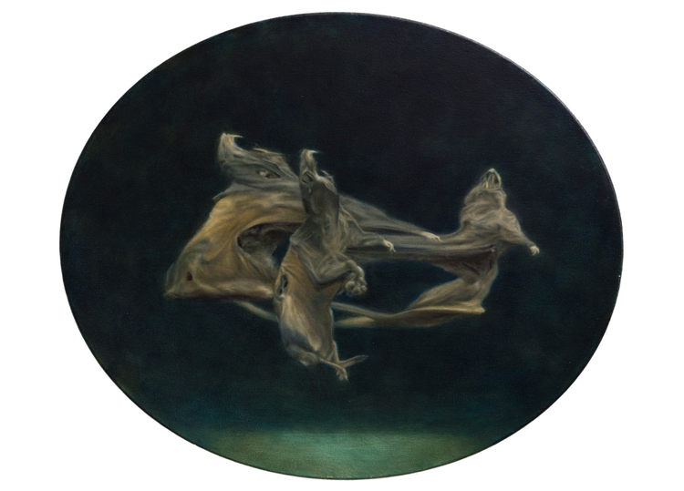 Specularium | Corban Estate Arts Centre
