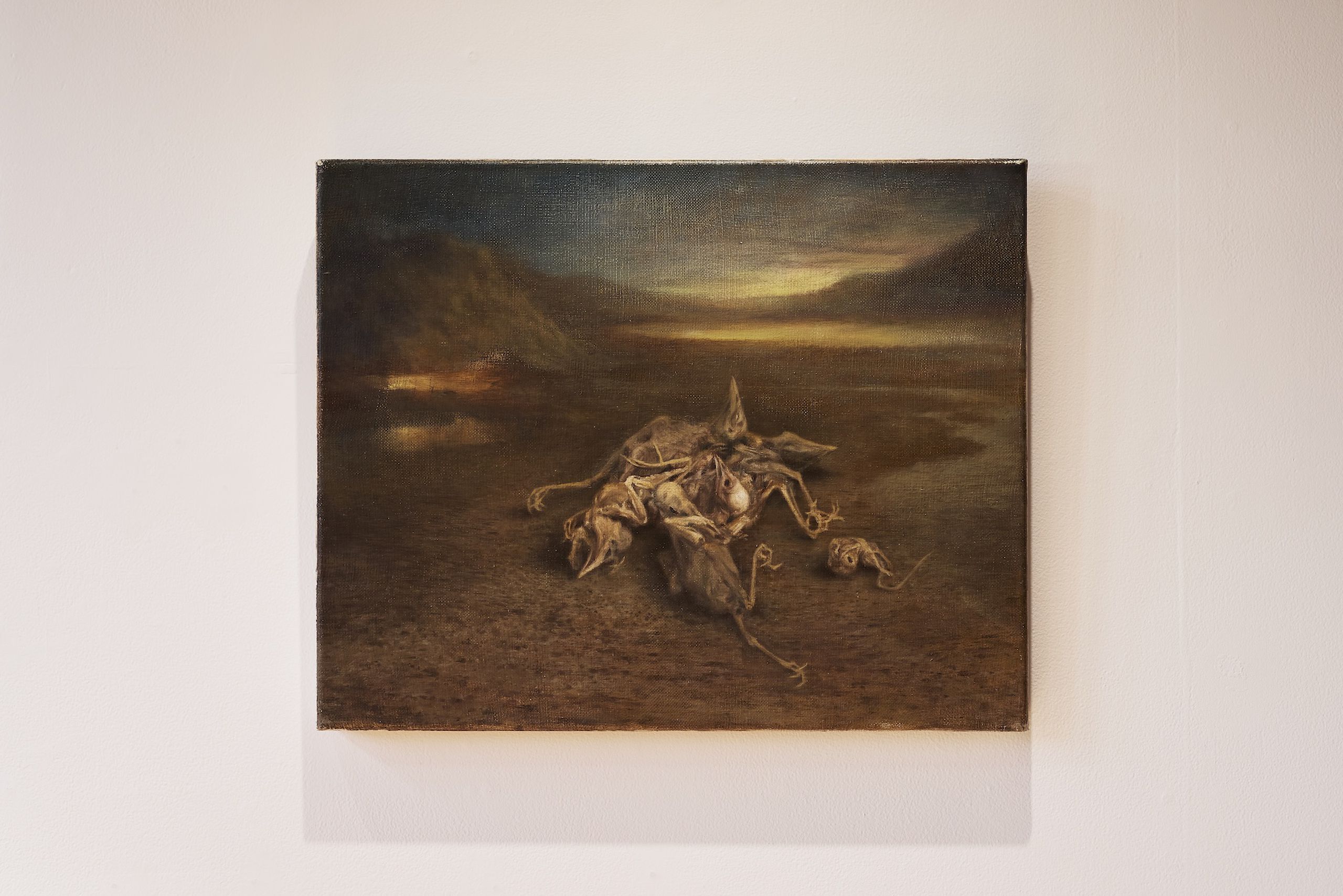 Specularium | Corban Estate Arts Centre